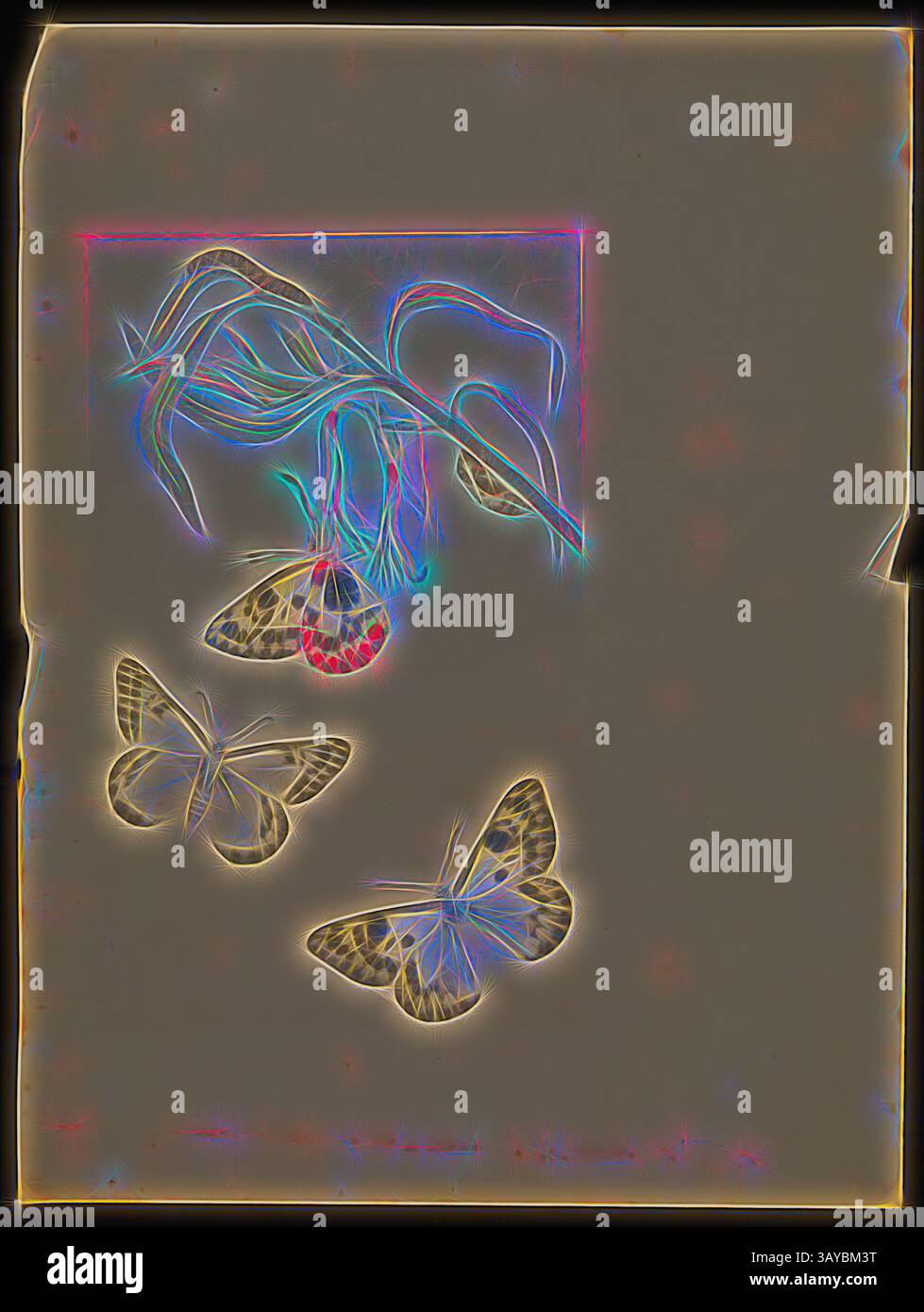 A delicate illustration of butterflies alongside a budding plant ...