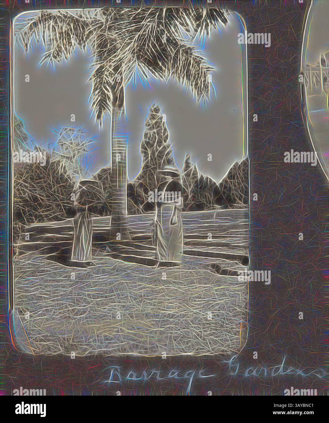 A serene scene featuring a tall palm tree, surrounded by nature, with ...