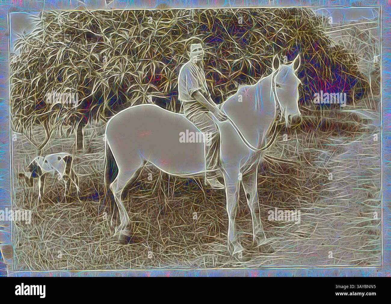 Digital photograph william james partington on horseback hi-res stock ...