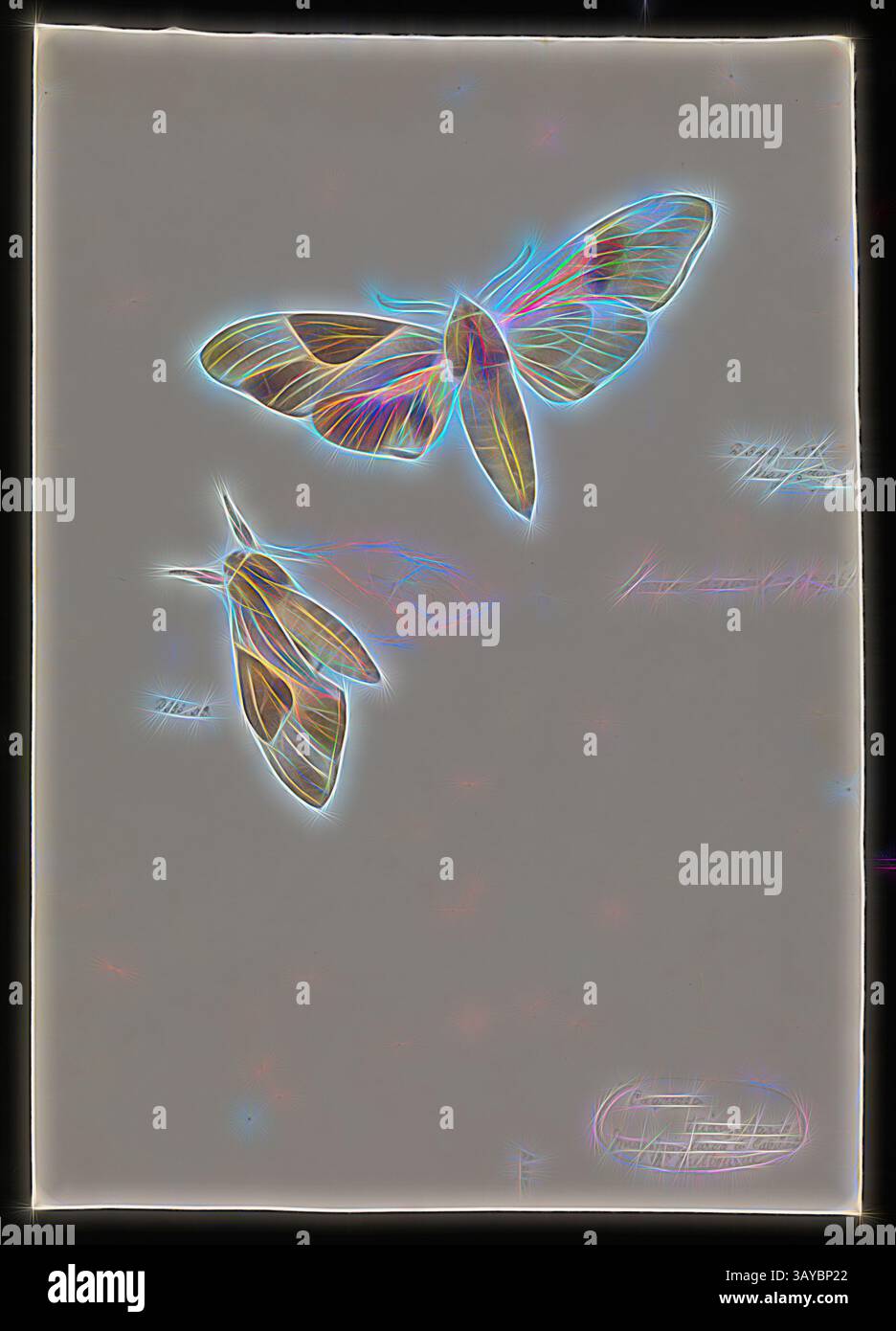 Background features subtle markings hi-res stock photography and images ...