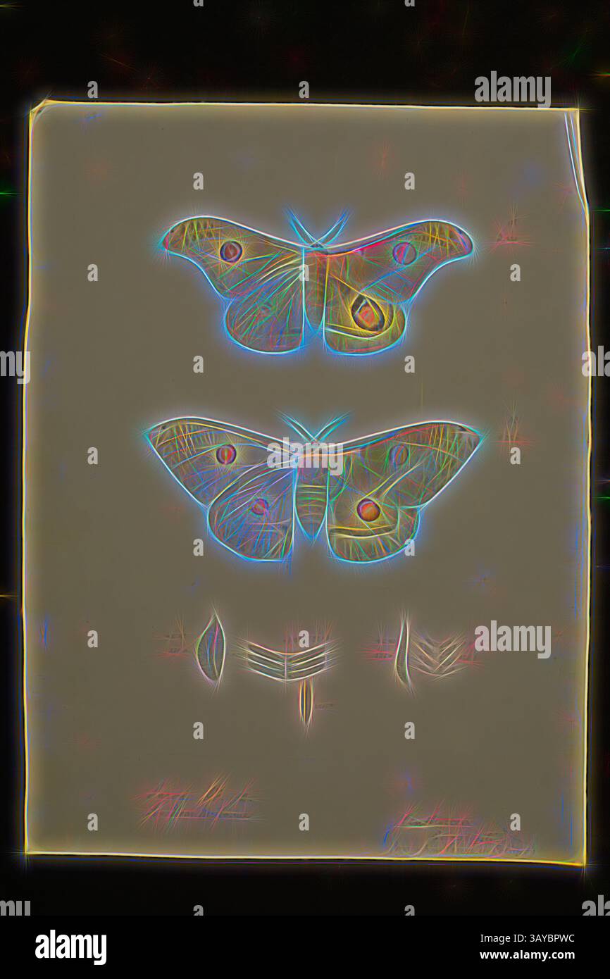 A detailed illustration featuring two butterflies at the top, adorned ...