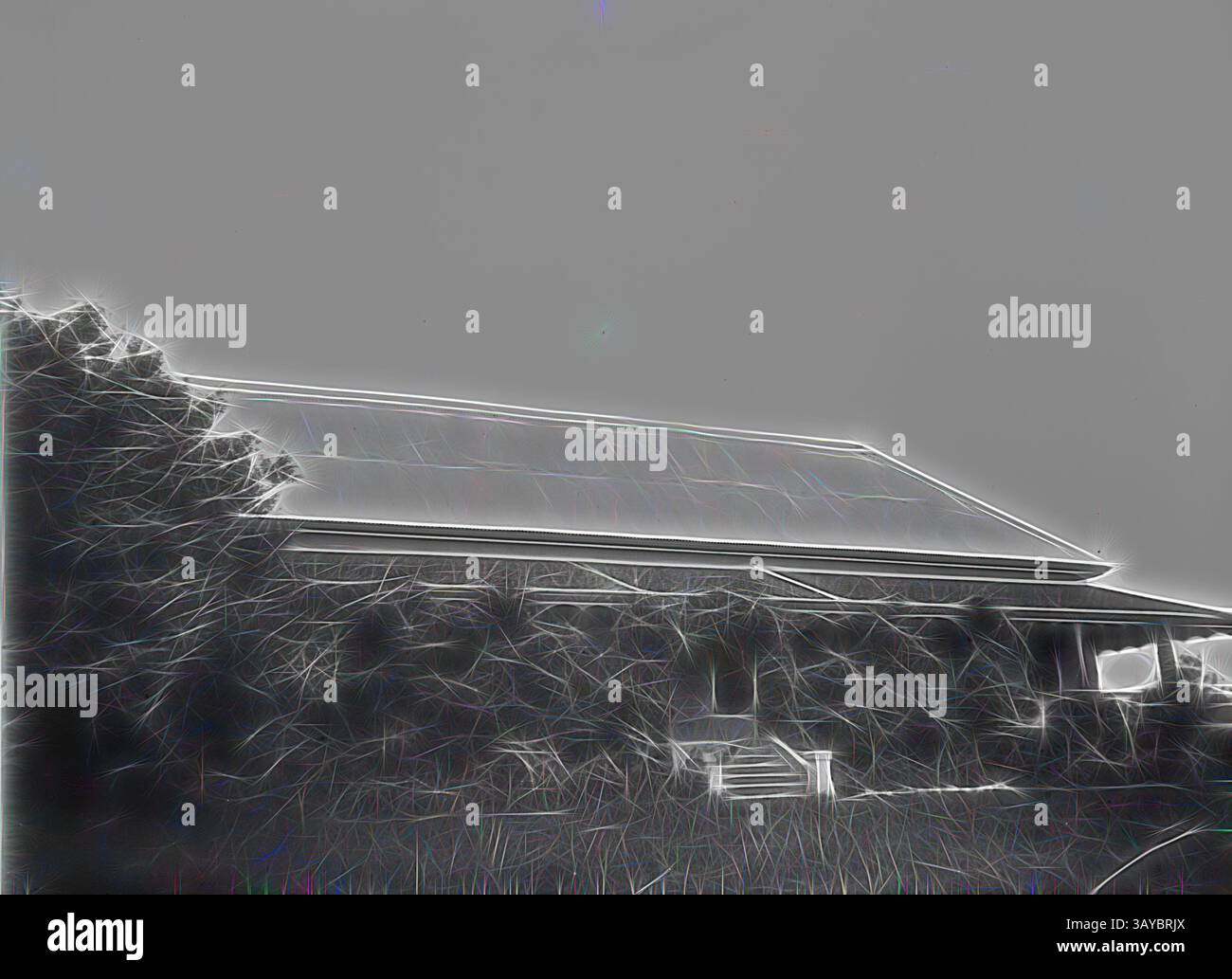 Faint details of trees hi-res stock photography and images - Alamy