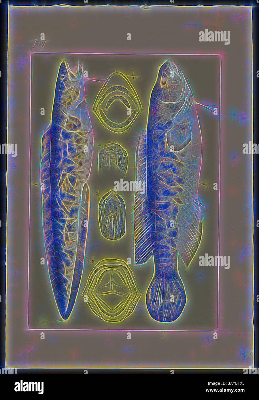 Anatomical complexities hi-res stock photography and images - Alamy