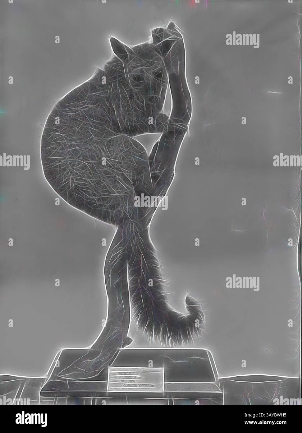 Possum body hi-res stock photography and images - Alamy