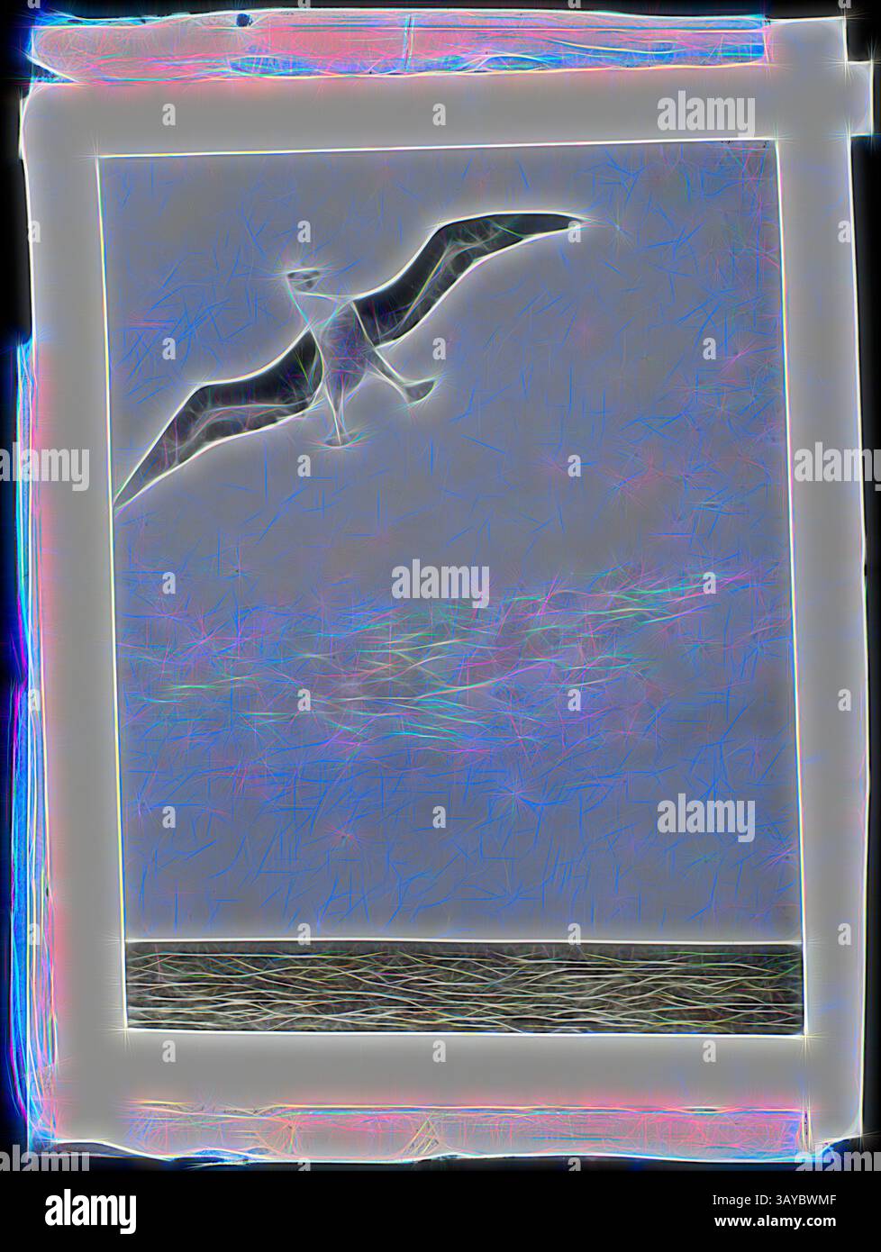 A soaring bird glides above a tranquil sea, framed by soft, wispy ...