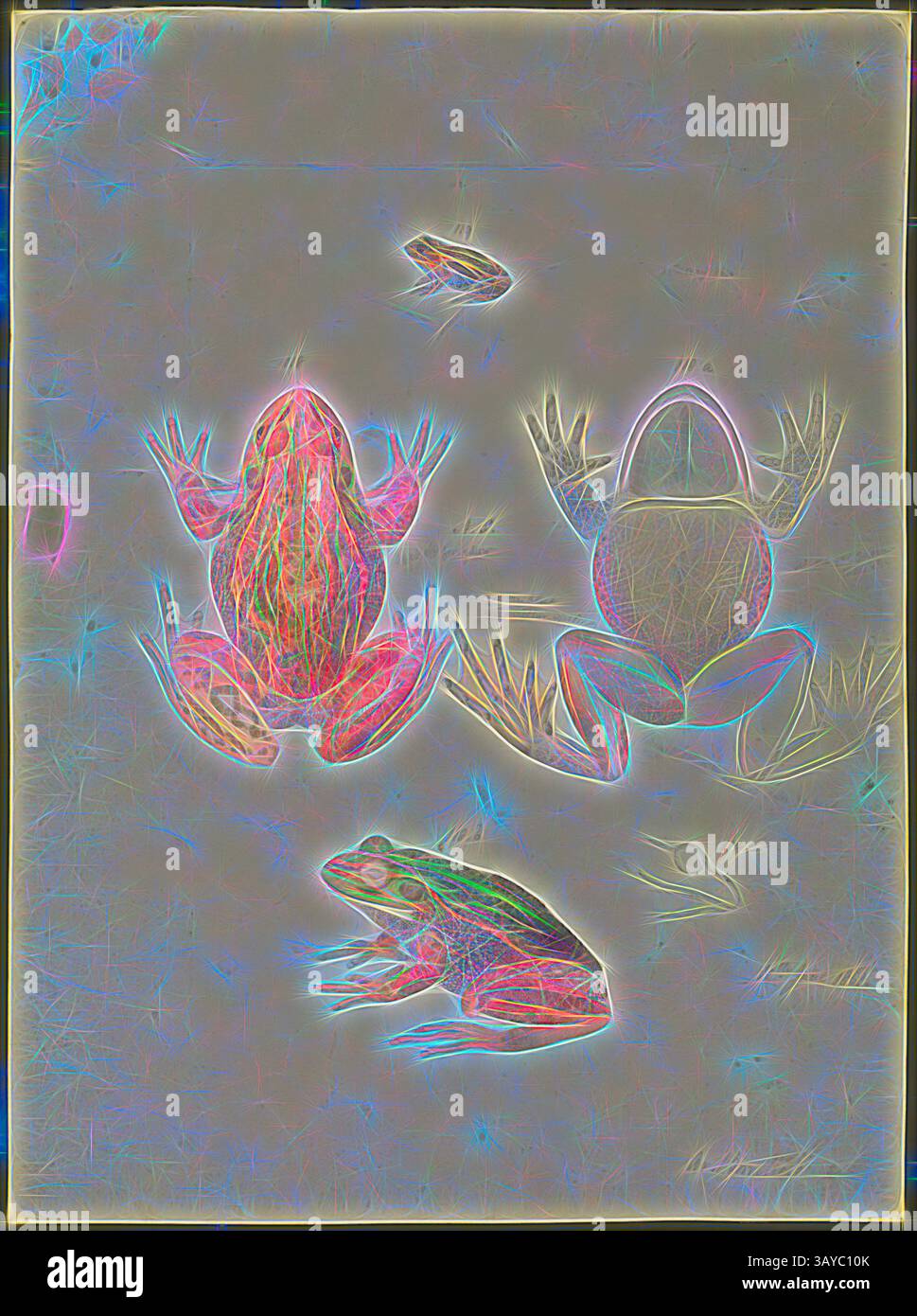 Three frogs are depicted in a vibrant, abstract style, showcasing ...