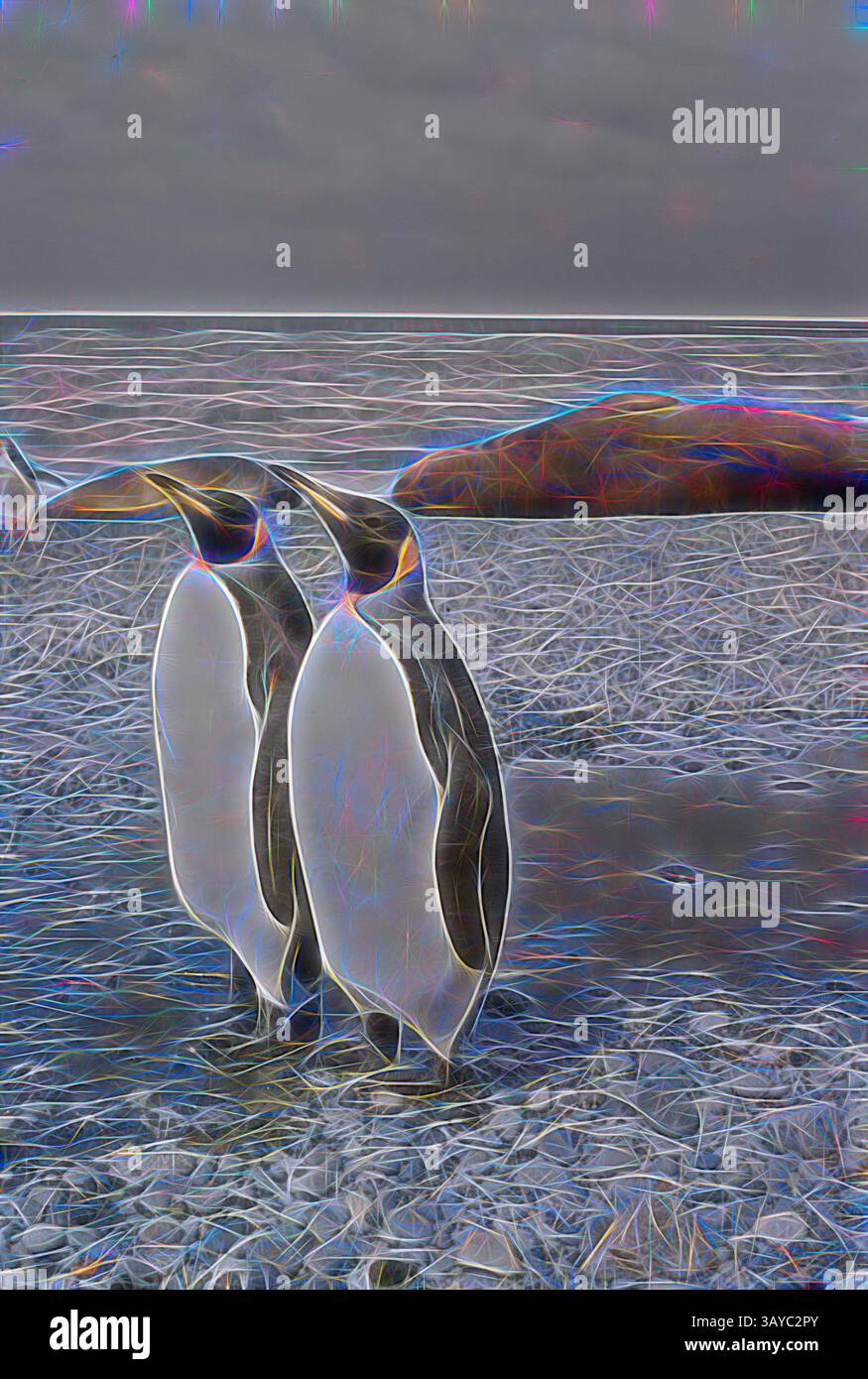 Two penguins stand side by side on a snowy landscape, gazing into the ...