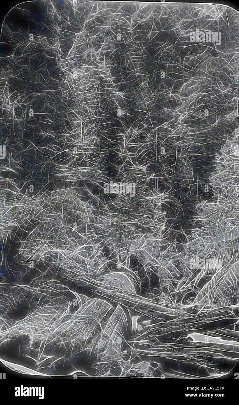 A tangled arrangement of branches and foliage, with delicate, wispy ...