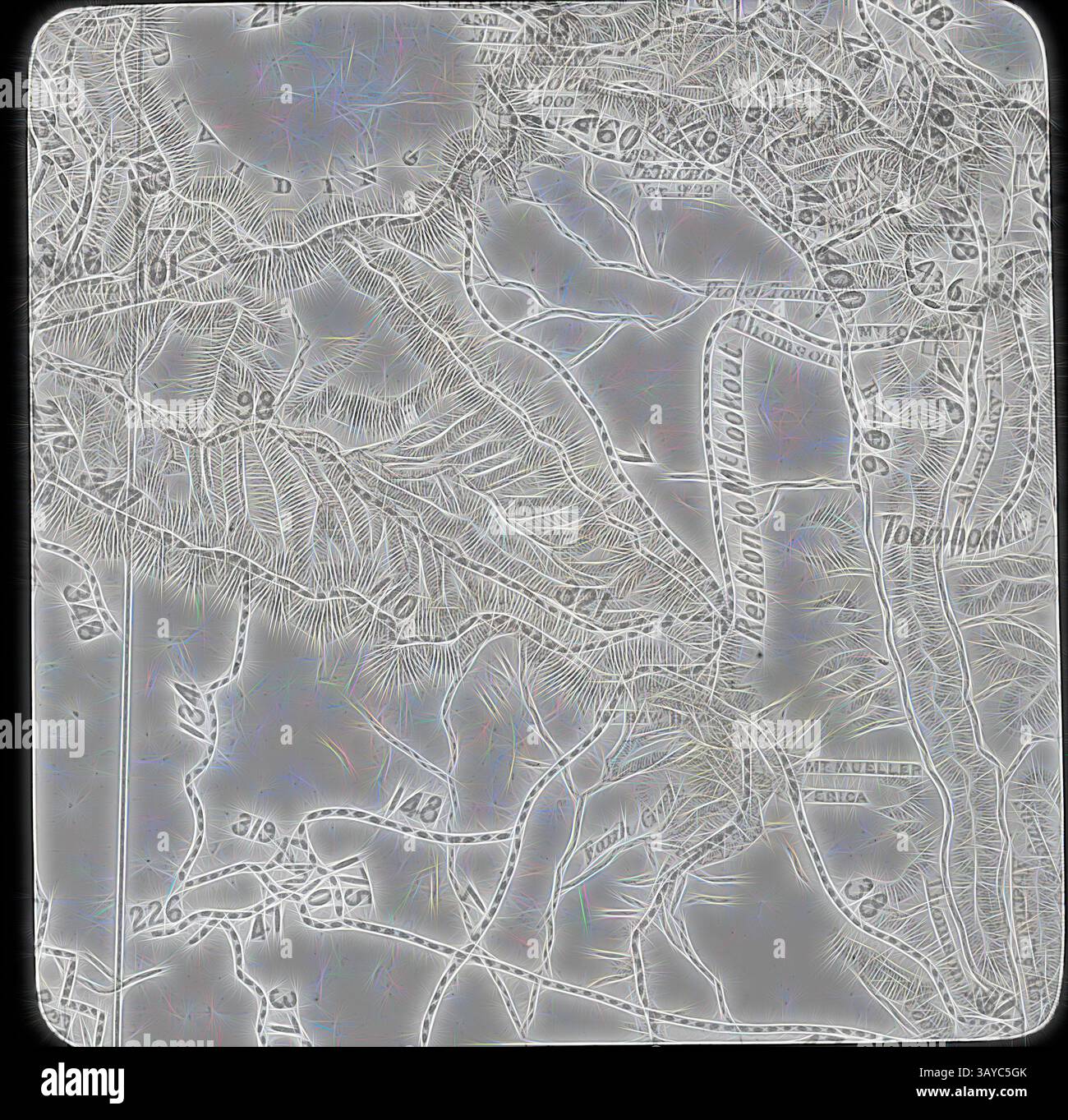 A detailed topographic map showcasing intricate line work to represent ...