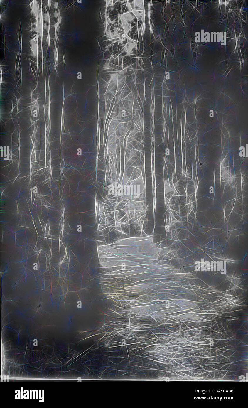A serene pathway winds through a dense forest, with tall trees flanking ...