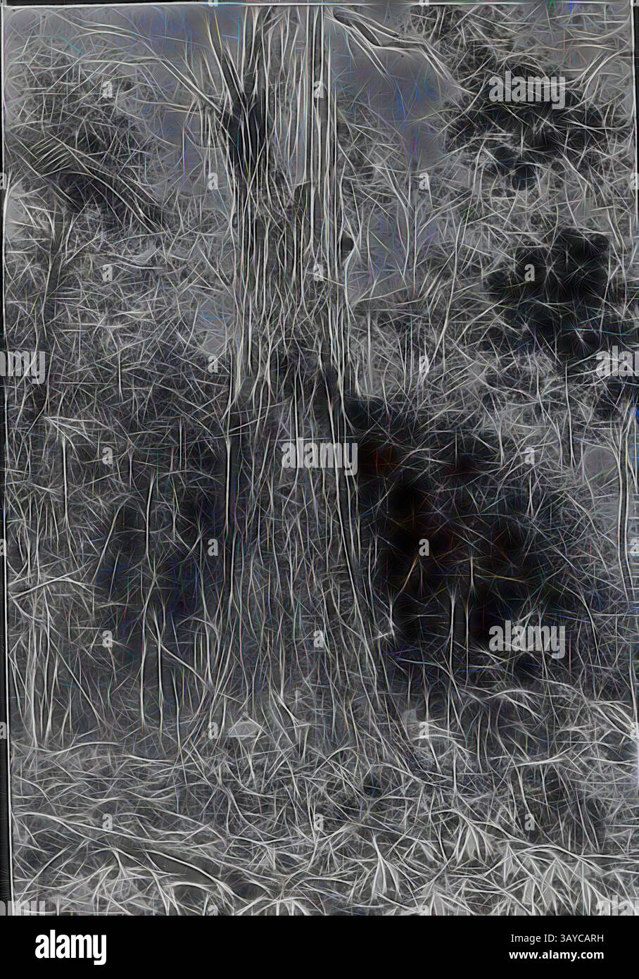 Tangled forest scene filled hi-res stock photography and images - Alamy