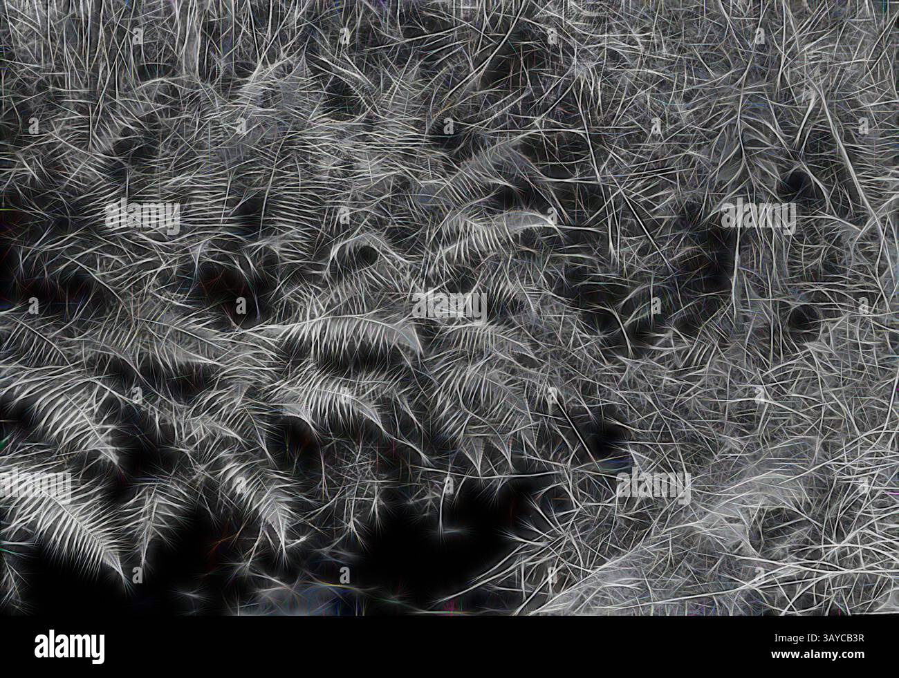 A dense thicket of ferns and grasses intertwines, creating a textured ...