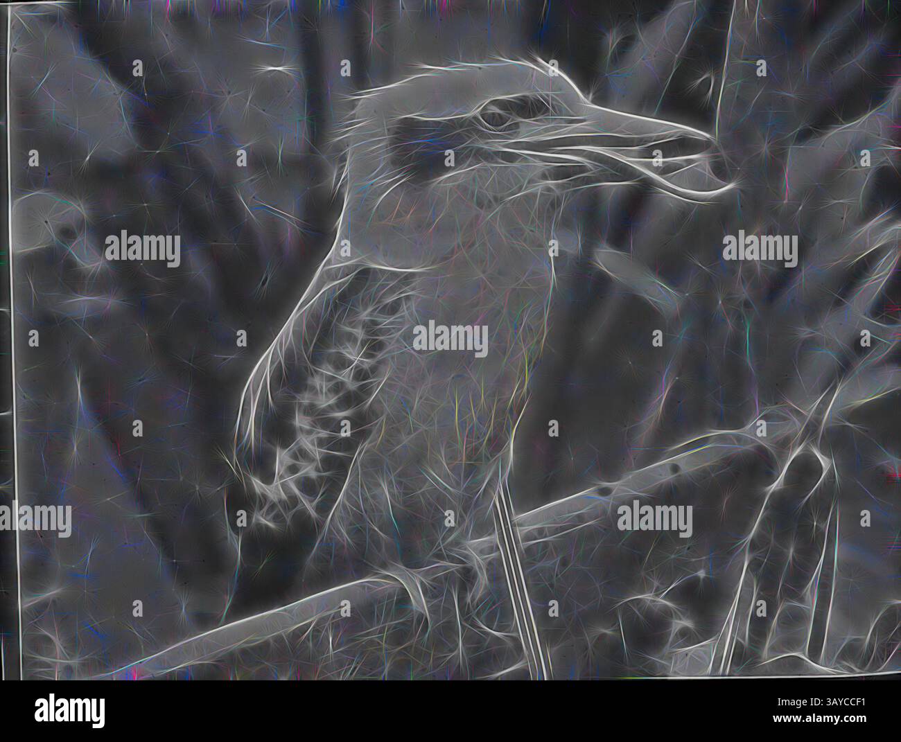 Feather slide hi-res stock photography and images - Alamy