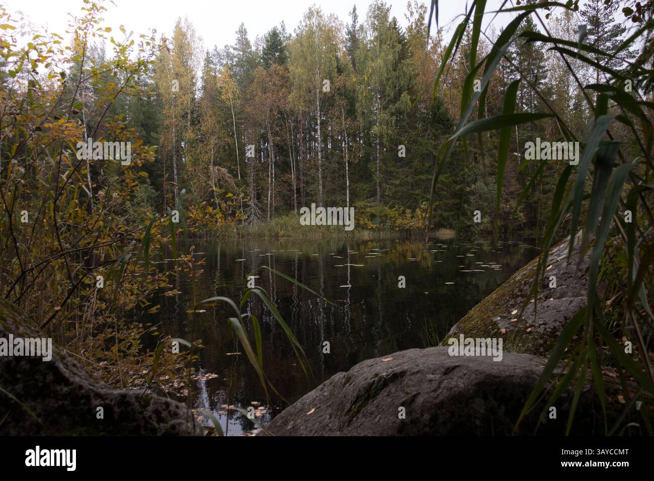A nordic lake through rocks and foliage in the early stages of fall ...