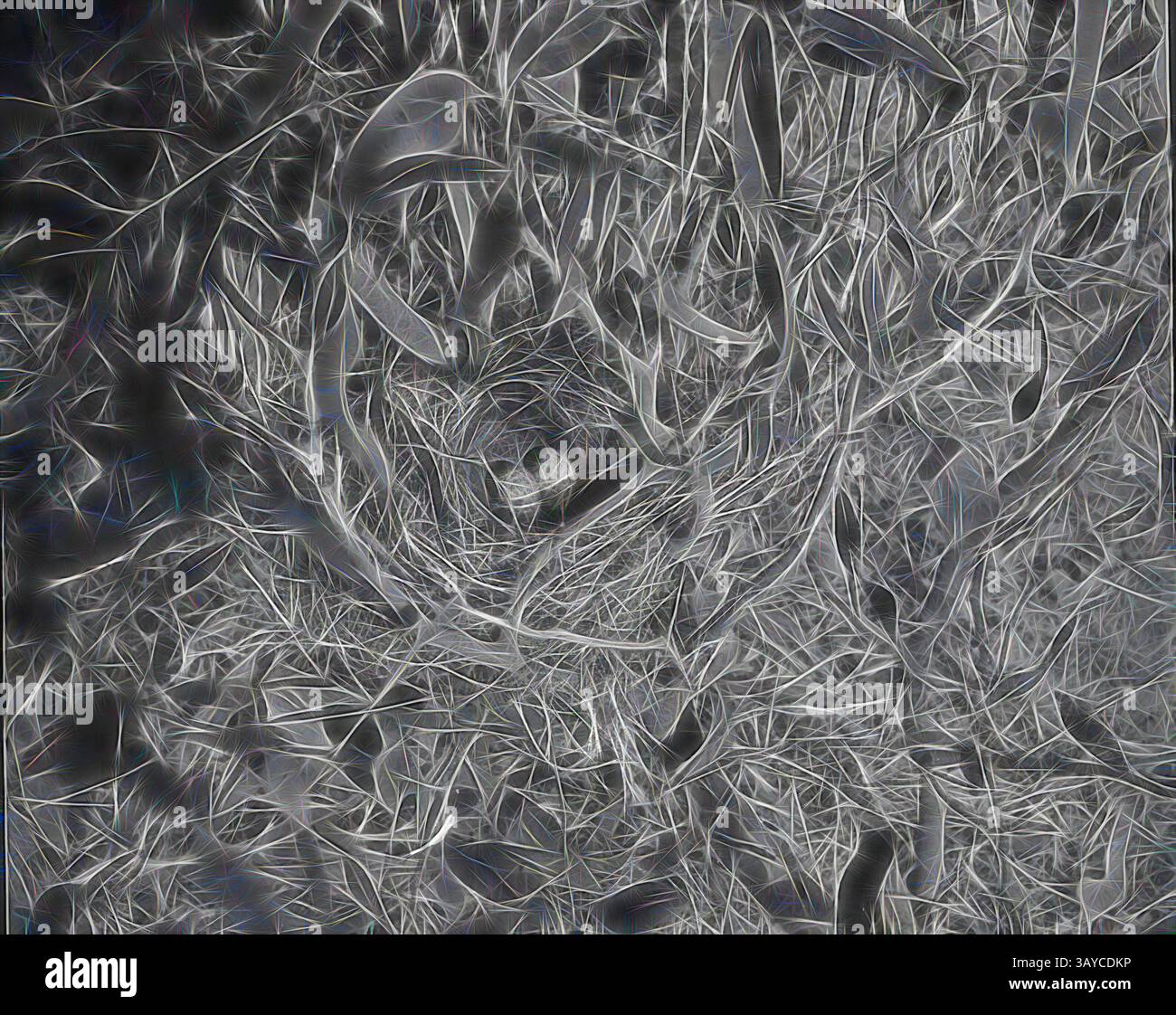 A tangle of delicate grasses and twigs intertwines, creating a textured ...