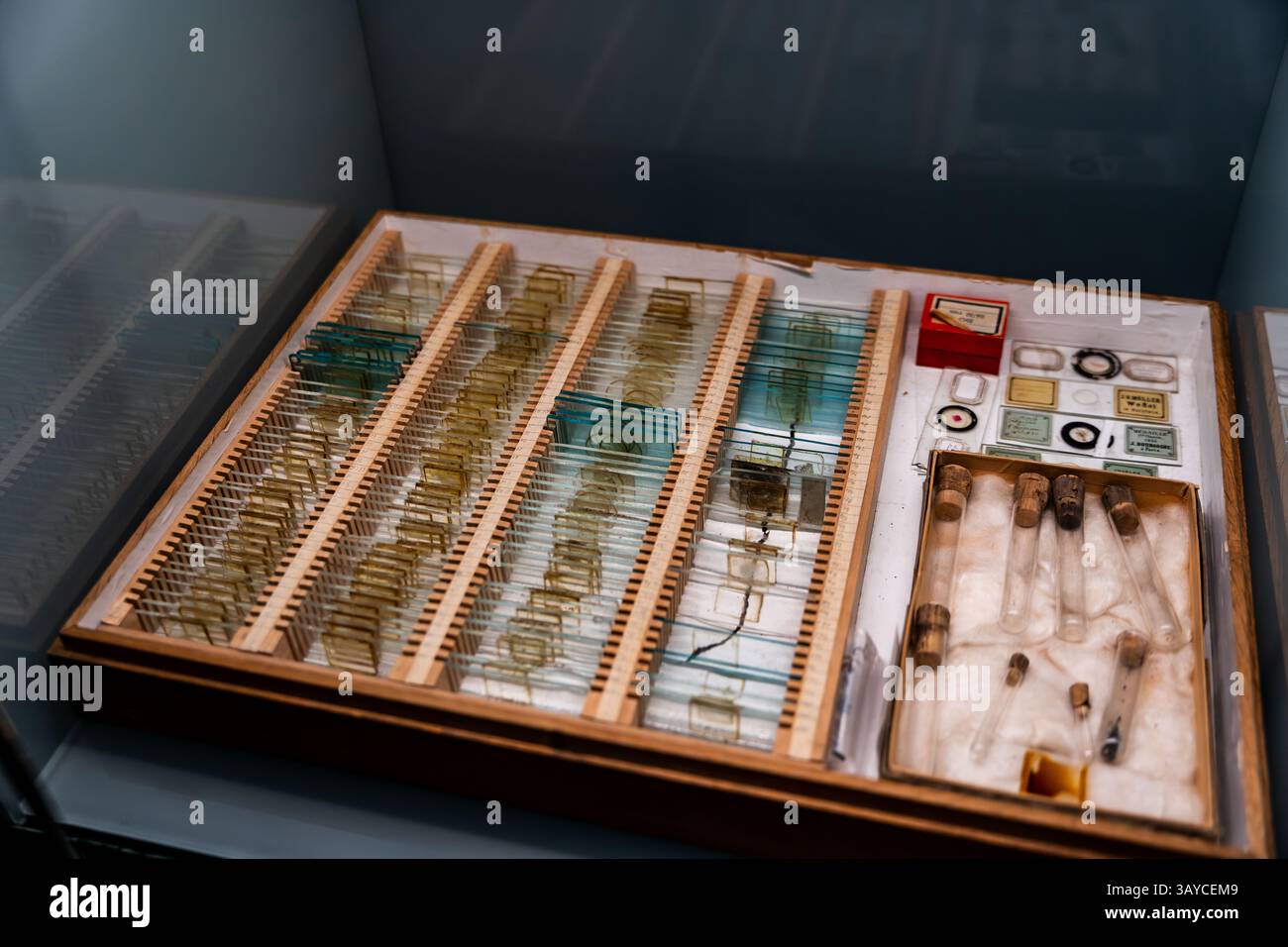 Interior view of the Mendel Museum at the St. Thomas Abbey, dedicated ...