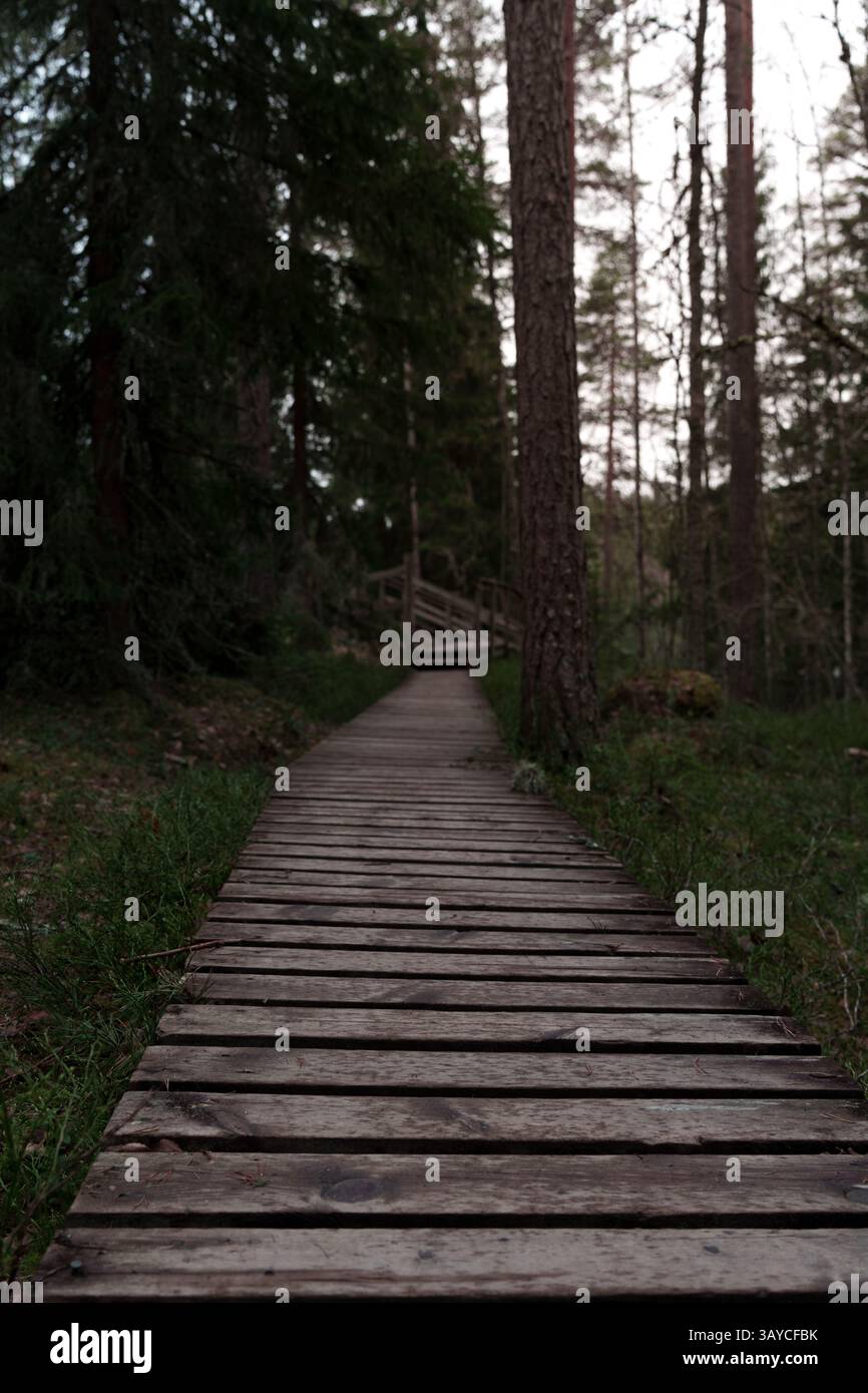 Explore serene pathway greenery ancient hi-res stock photography and ...