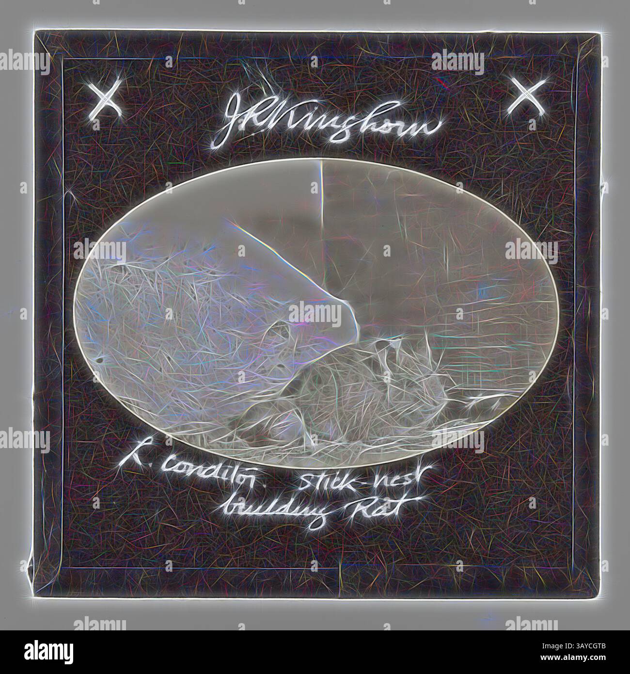 An intricately detailed depiction of a stick nest, surrounded by ...