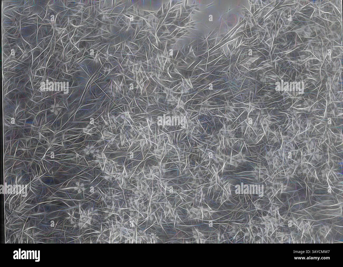 Forming dense strands hi-res stock photography and images - Alamy