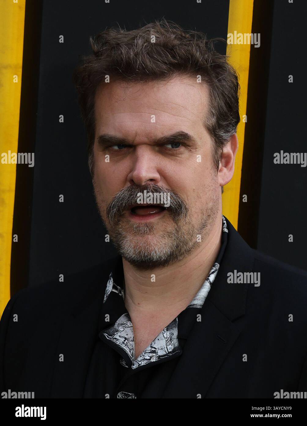 London, UK. 22nd Apr, 2025. LONDON, ENGLAND - APRIL 22 2025: David ...