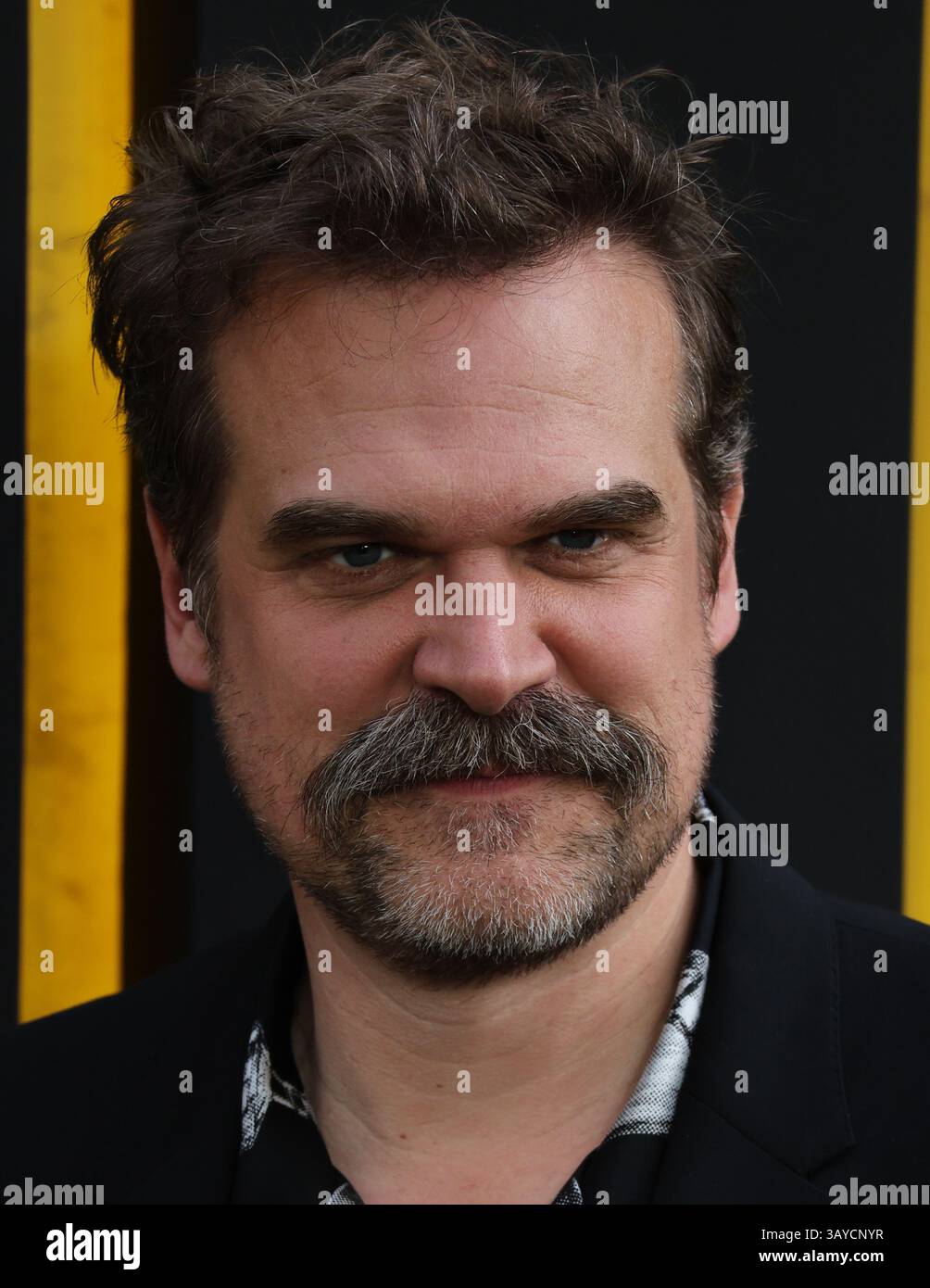 London, UK. 22nd Apr, 2025. LONDON, ENGLAND - APRIL 22 2025: David ...