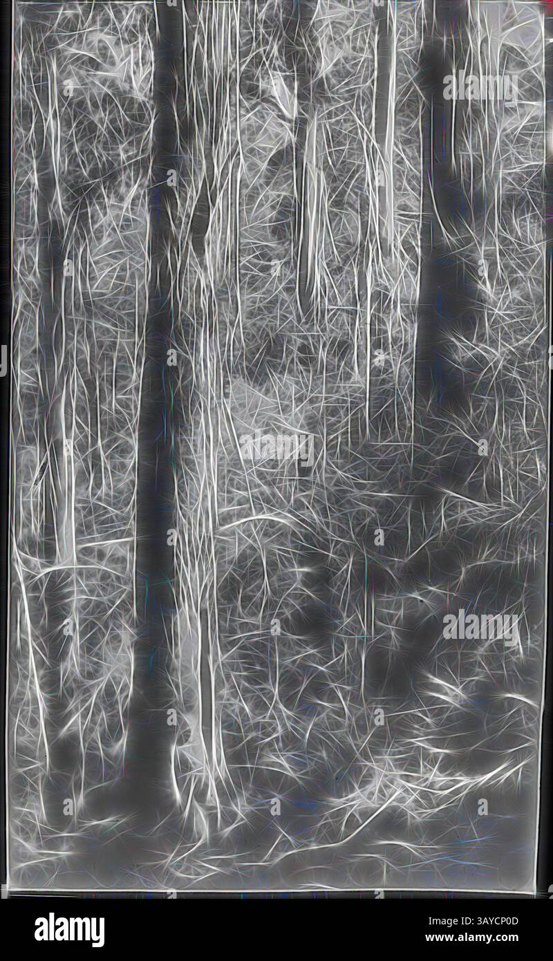 A dense forest scene where tall trees rise amidst intricate patterns of ...