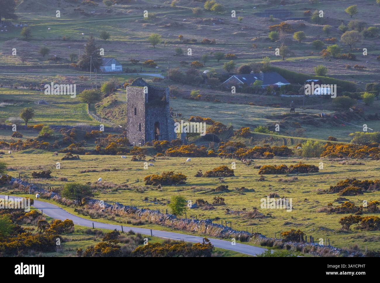 Wheal Jenkin Mine Minions Cornwall Stock Photo - Alamy