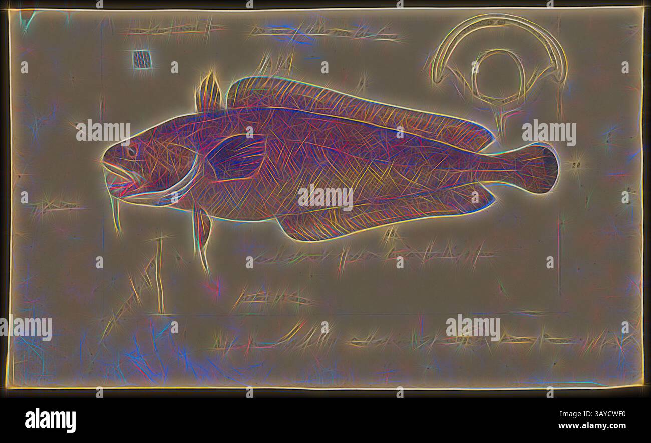 A stylized depiction of a fish, showcasing intricate lines and vibrant ...