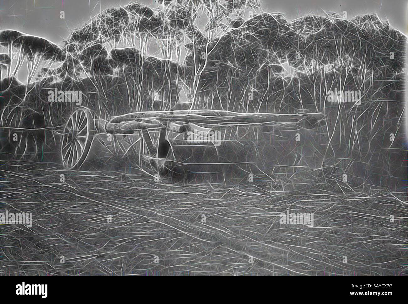 An old cannon displayed in a natural setting, surrounded by trees ...