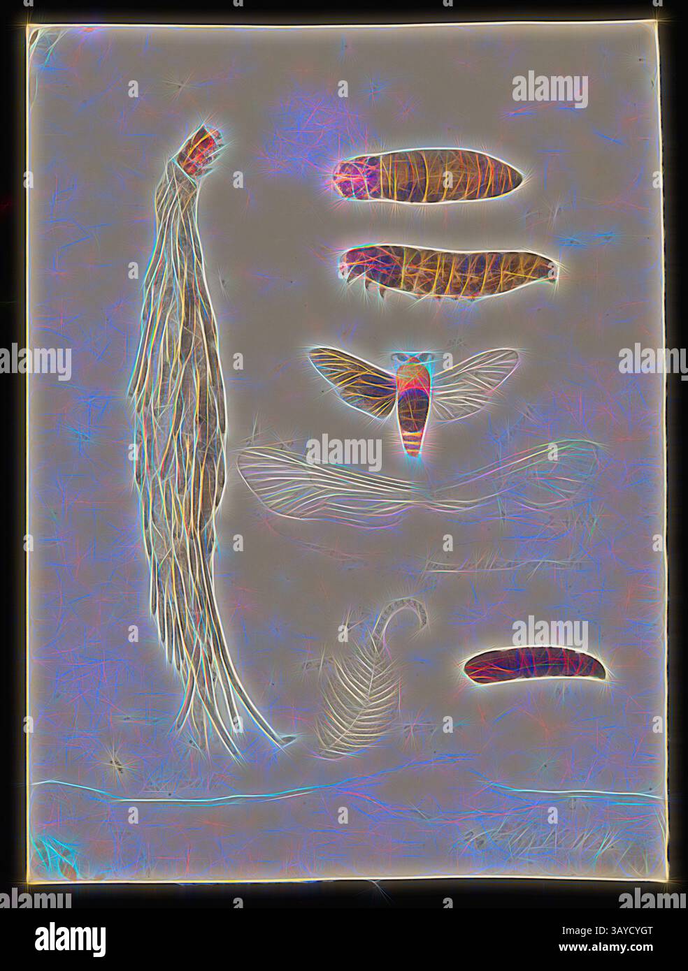 An abstract composition featuring various organic shapes, including ...