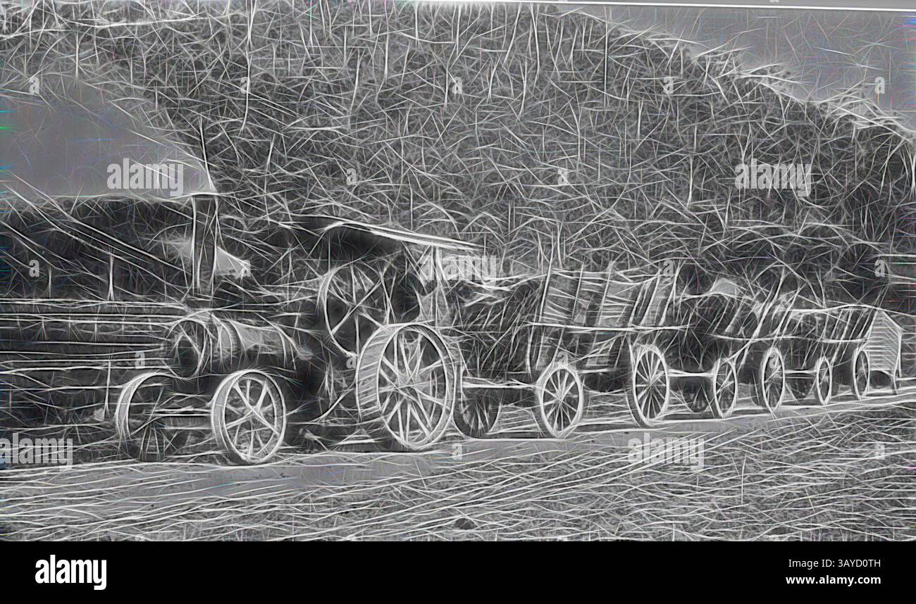 A vintage line of horse-drawn carriages parked beside a tree-lined path ...