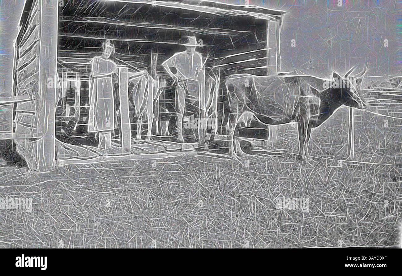 Two figures attend to cattle inside a barn, with a cow standing nearby ...