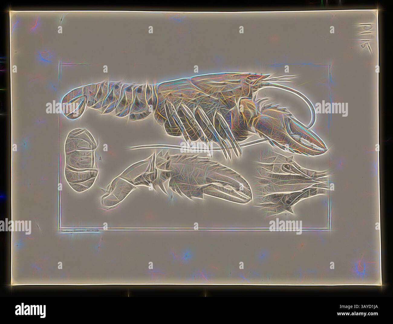 A detailed illustration of a lobster and other sea creatures ...