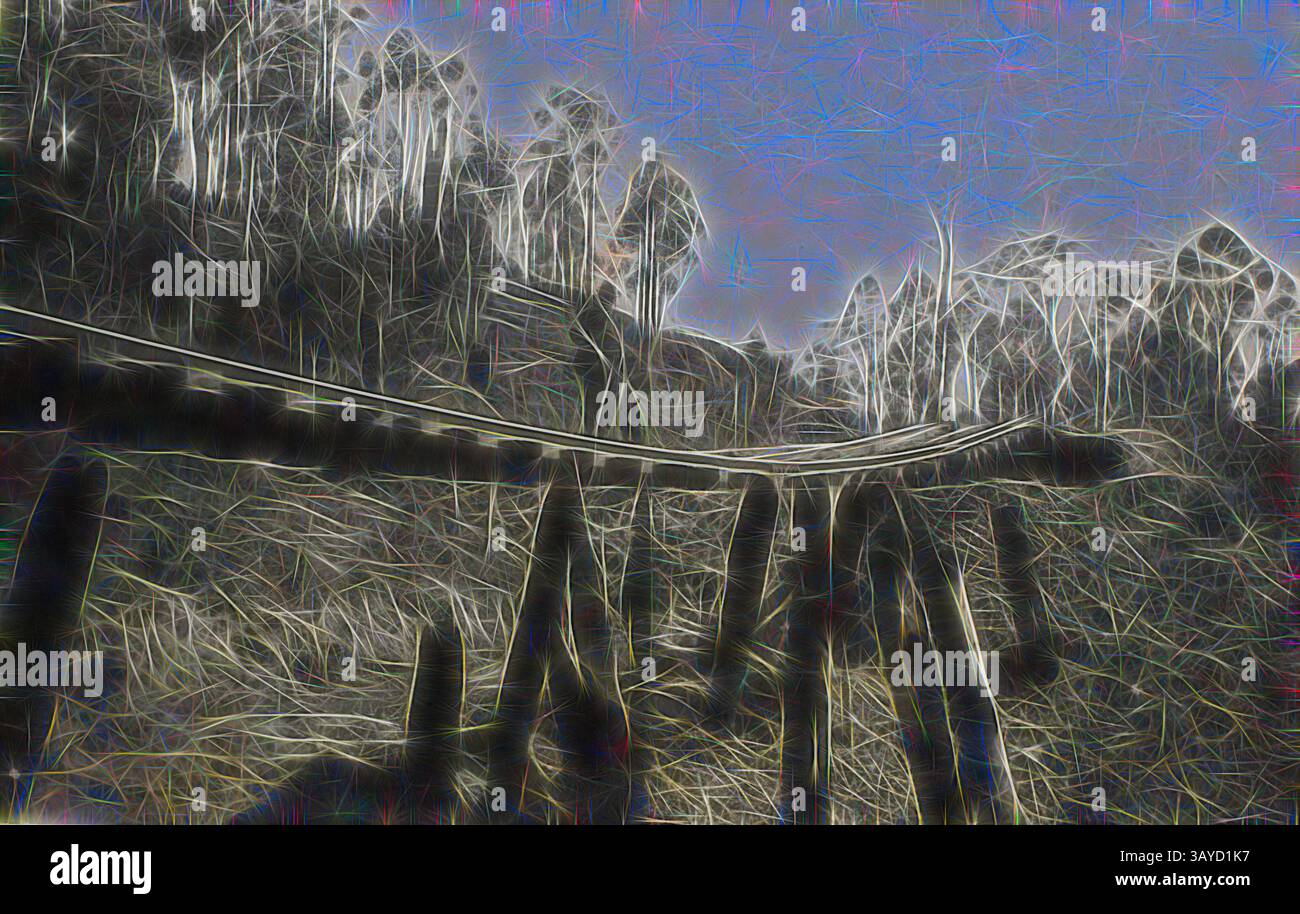 A winding pathway stretches into the distance, flanked by towering ...