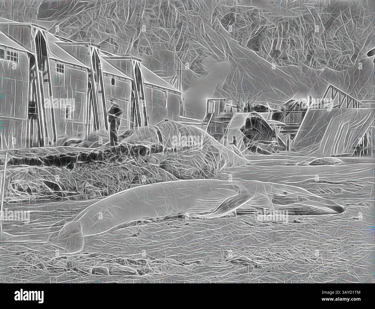 A serene coastal scene featuring a large marine creature resting on the ...