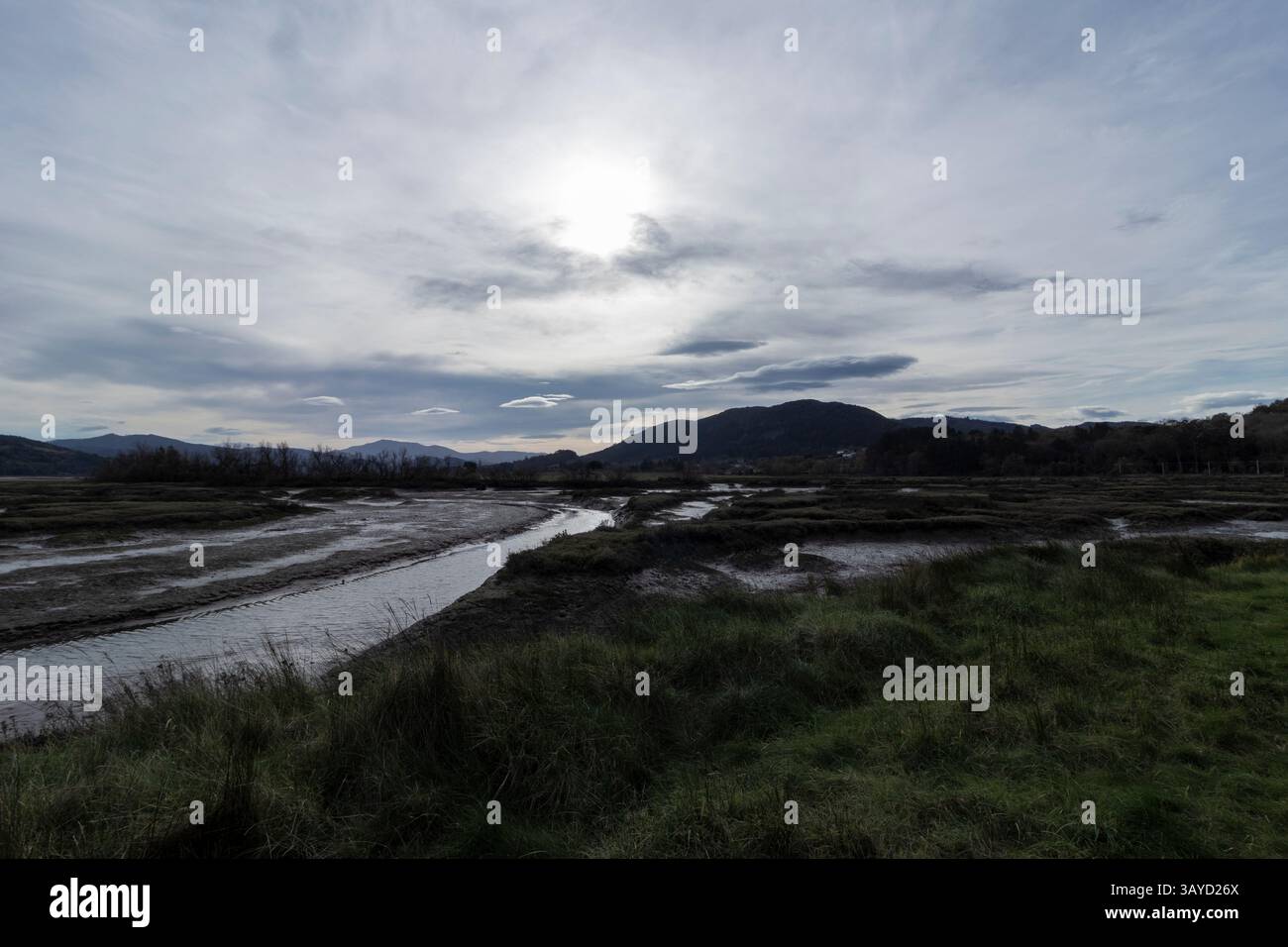 A meandering stream flows through marshy terrain under a dramatic ...
