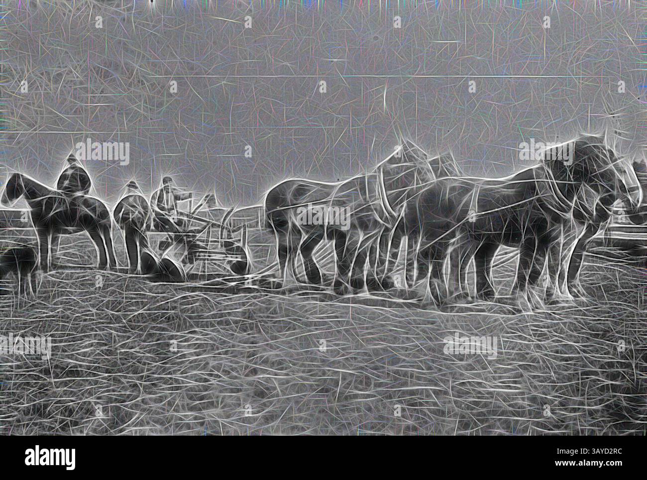 A group of horses is harnessed to a plow, while workers prepare the ...