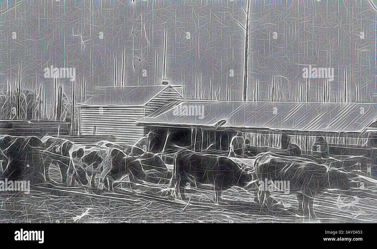 A serene rural scene featuring a herd of cows grazing near a rustic ...