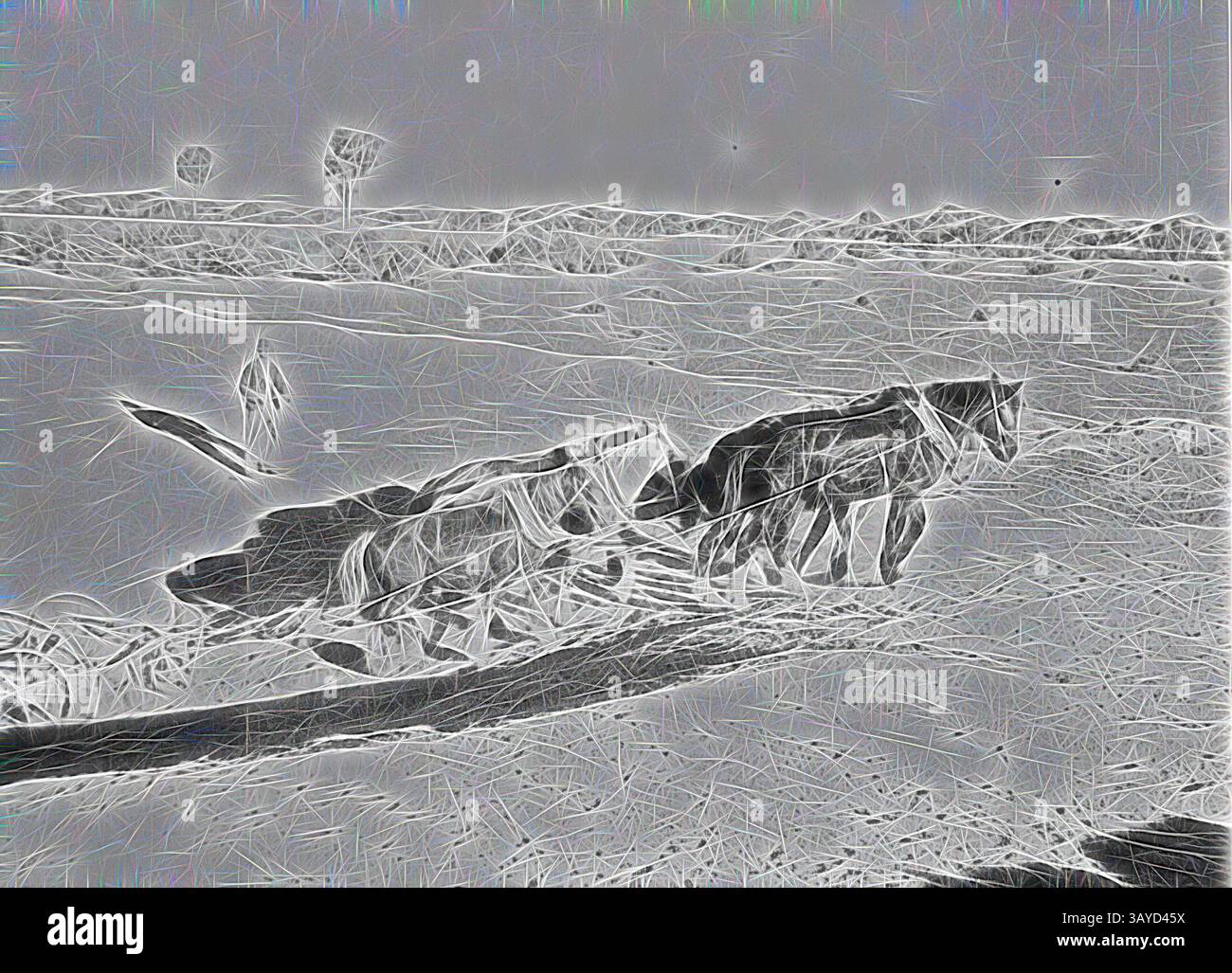 A pair of horses work together, pulling a plow through a vast field ...