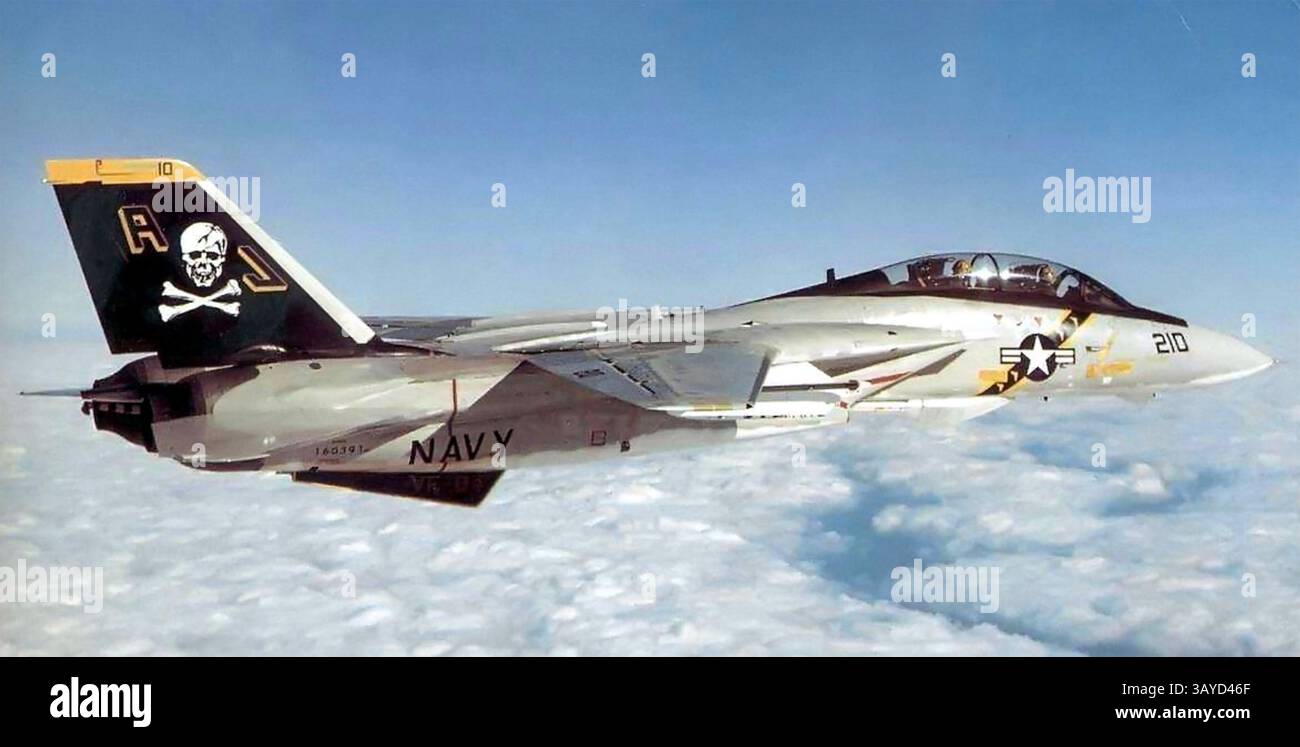 GRUMMAN F-14 TOMCAT of the US Navy. Photo: Capt Dana Potts Stock Photo ...