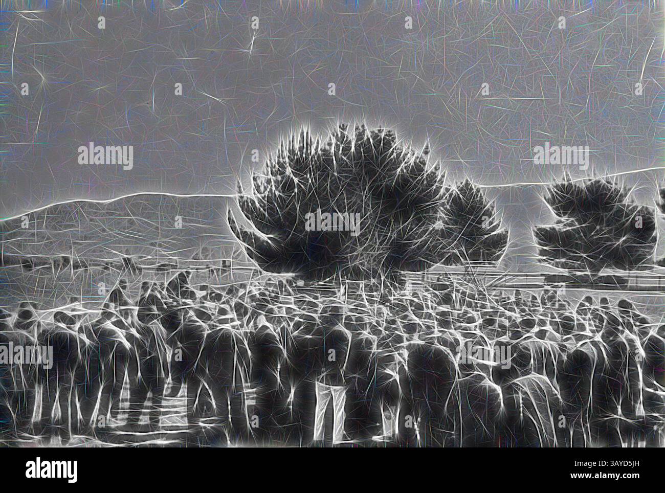 Crowd gathers in field hi-res stock photography and images - Alamy