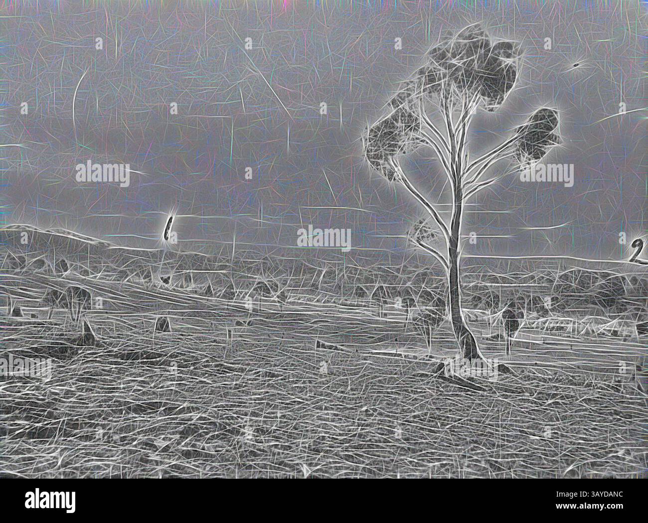 Distant tree outlines hi-res stock photography and images - Alamy