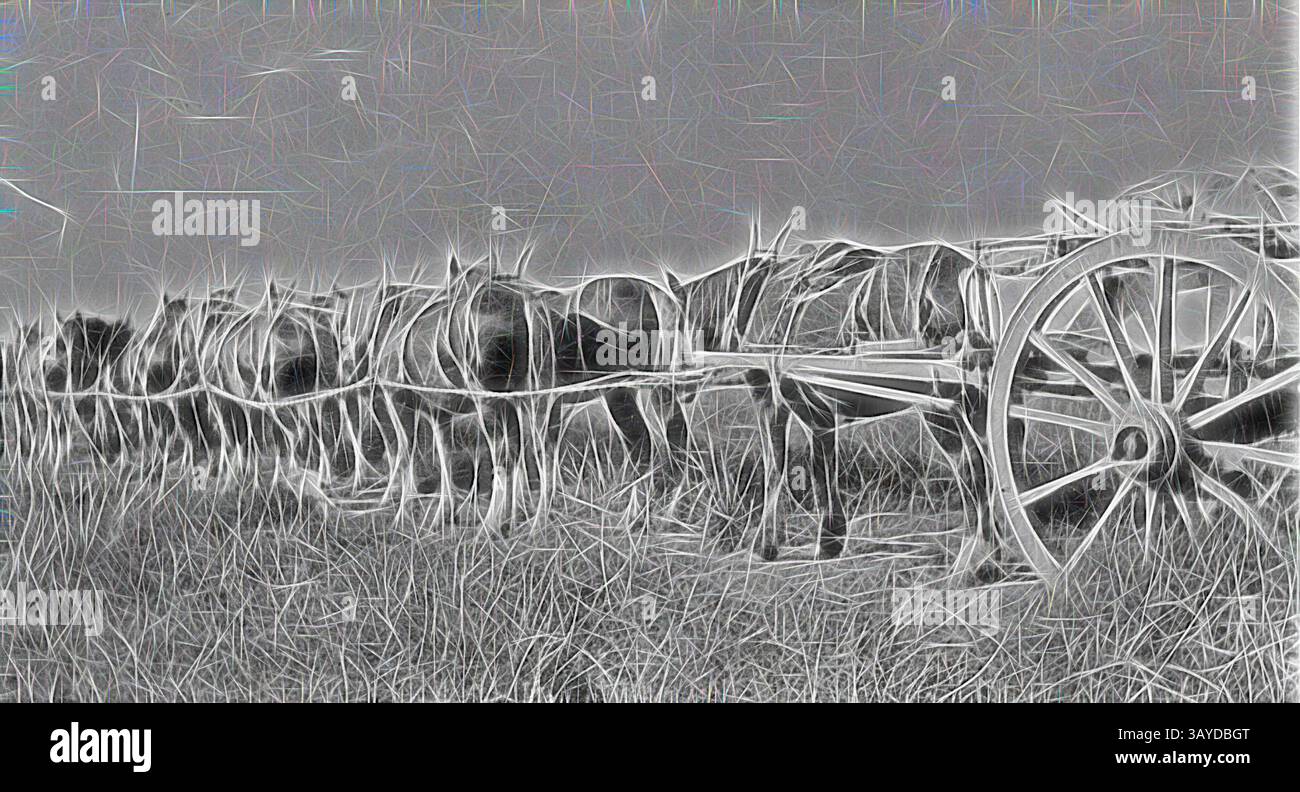 A line of horses stands patiently beside a wooden wagon, their ...