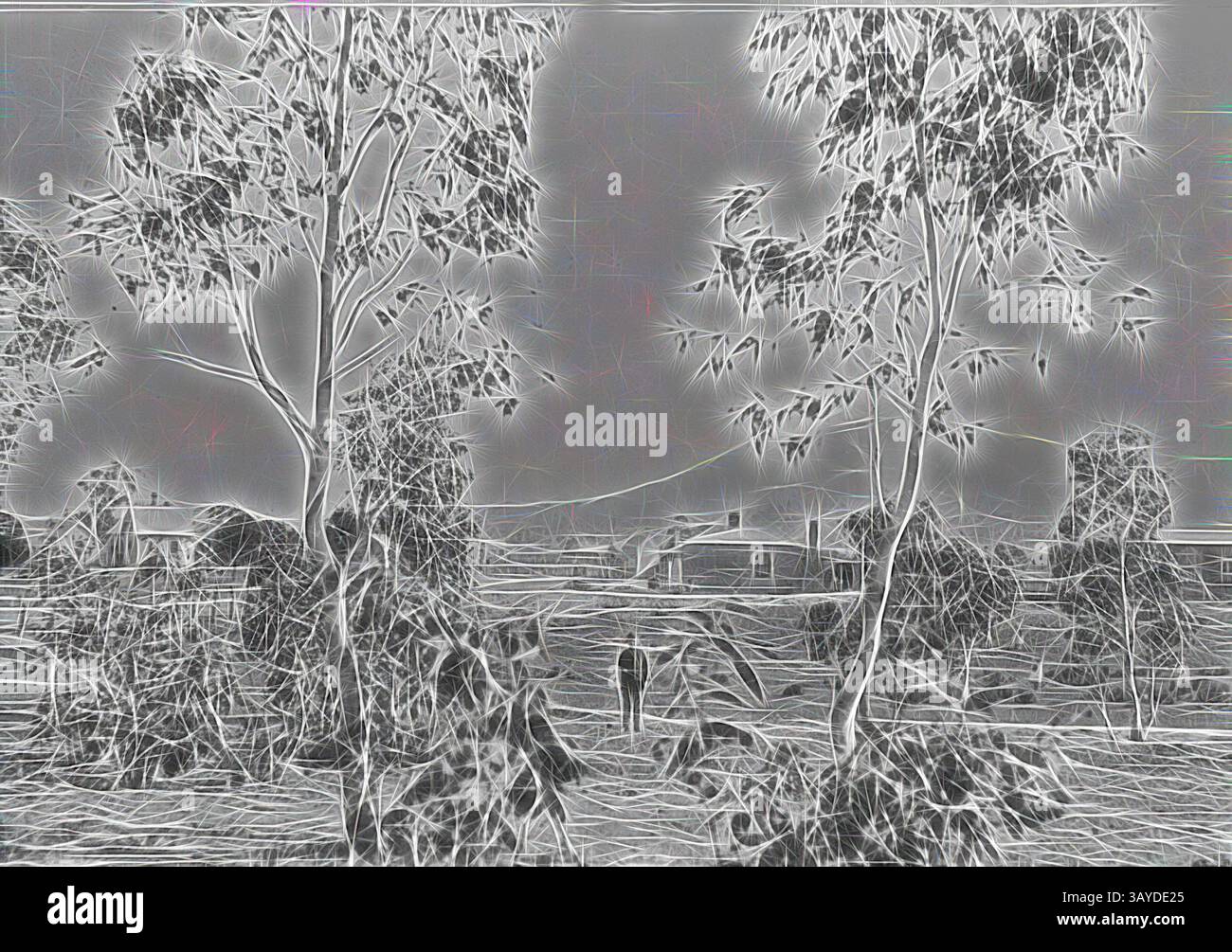 A serene landscape featuring tall, slender trees standing against a ...