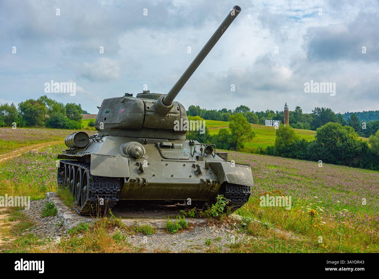 World war II tank at the Death valley in Slovakia.IMAGE Stock Photo - Alamy