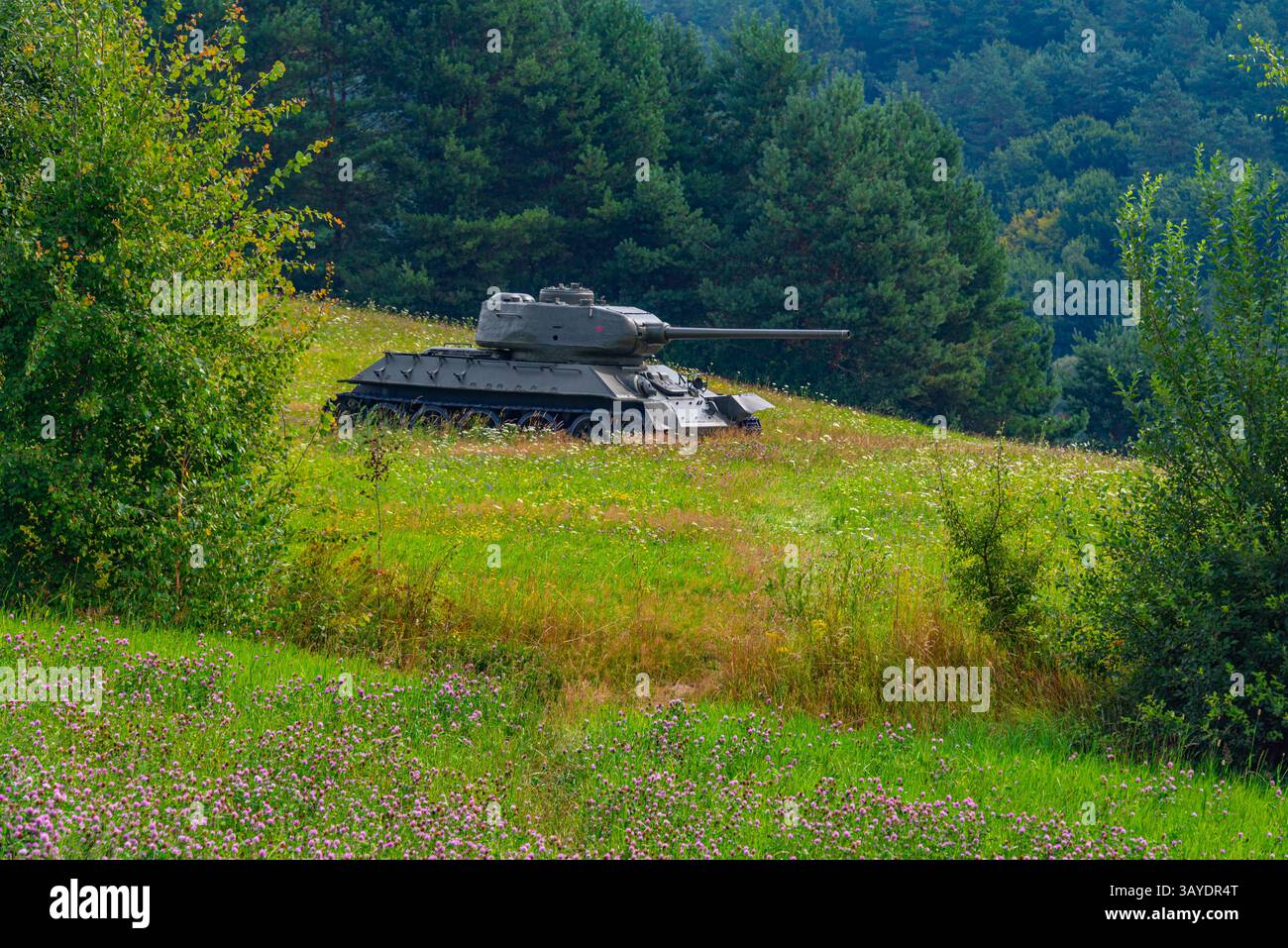World war II tank at the Death valley in Slovakia.IMAGE Stock Photo - Alamy
