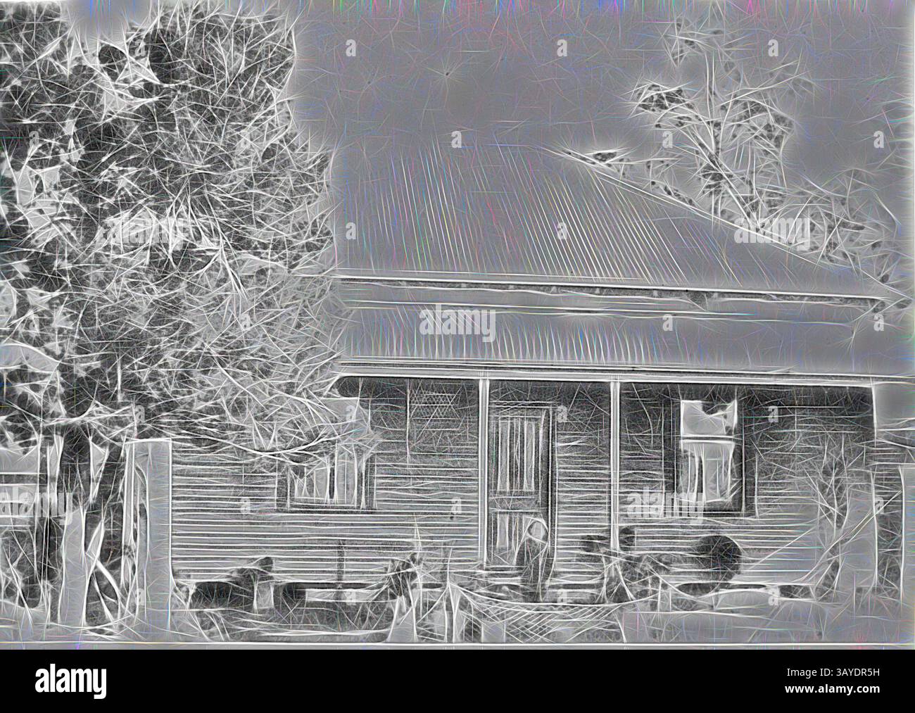 A quaint rural house stands amidst a cluster of trees, showcasing its ...