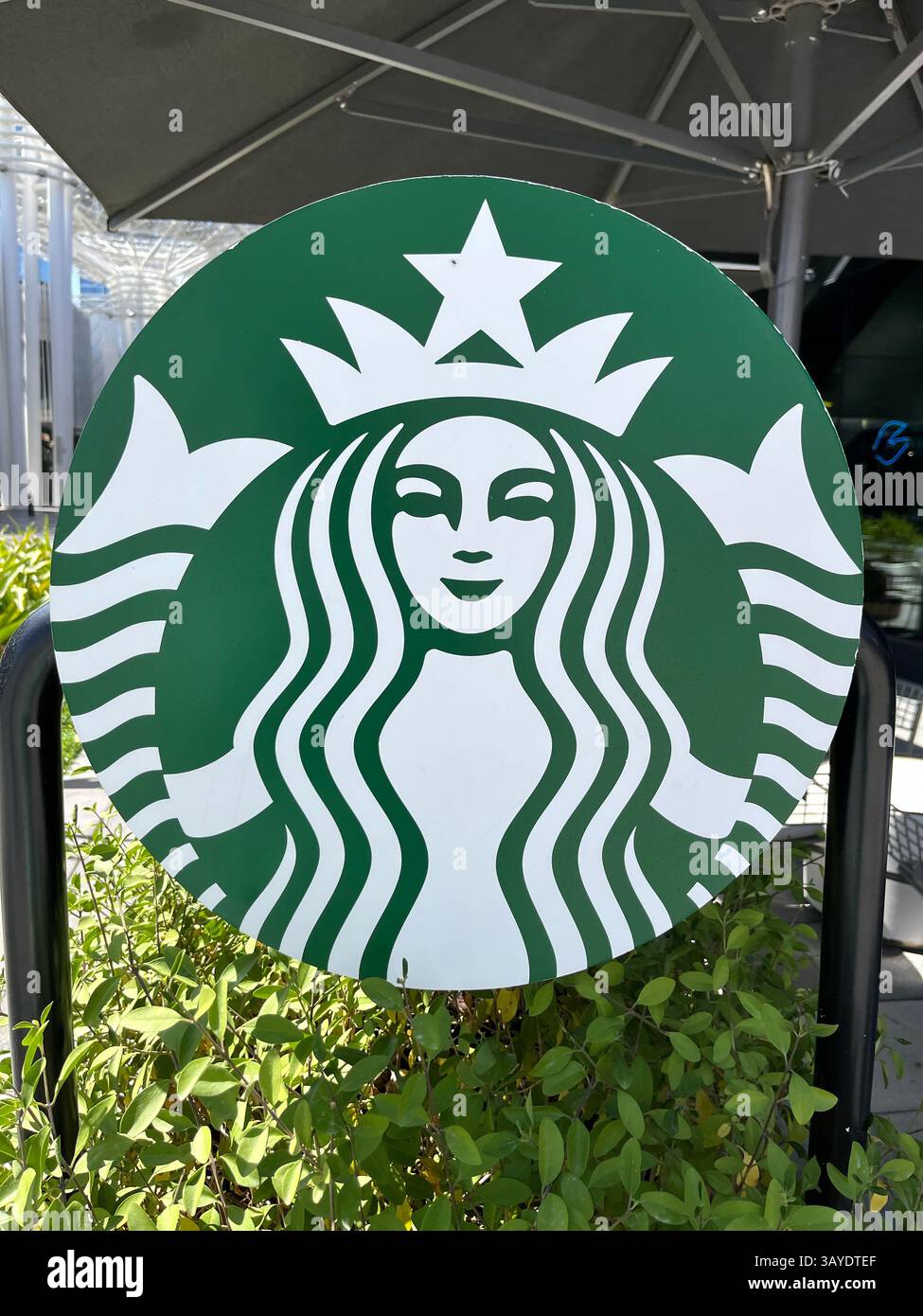 Starbucks logo placed on a round green and white sign in a cafe ...
