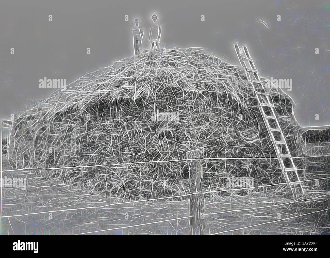 Large ladder leans hi-res stock photography and images - Alamy