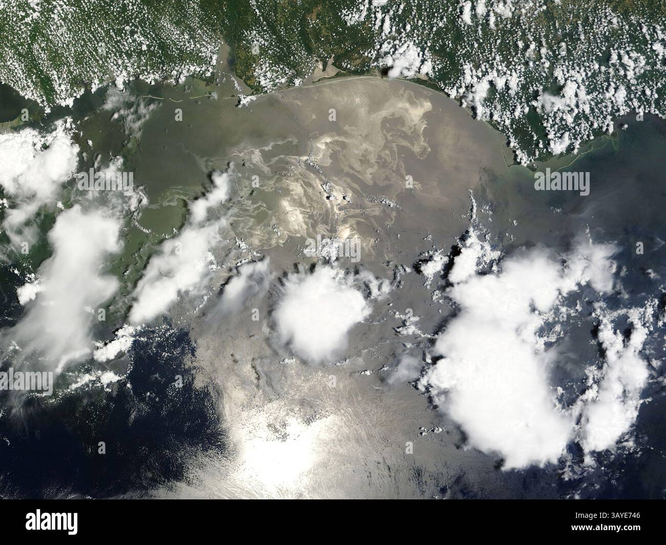 Jun 28, 2010 - Gulf of Mexico - Oil from the Deepwater Horizon rig is ...